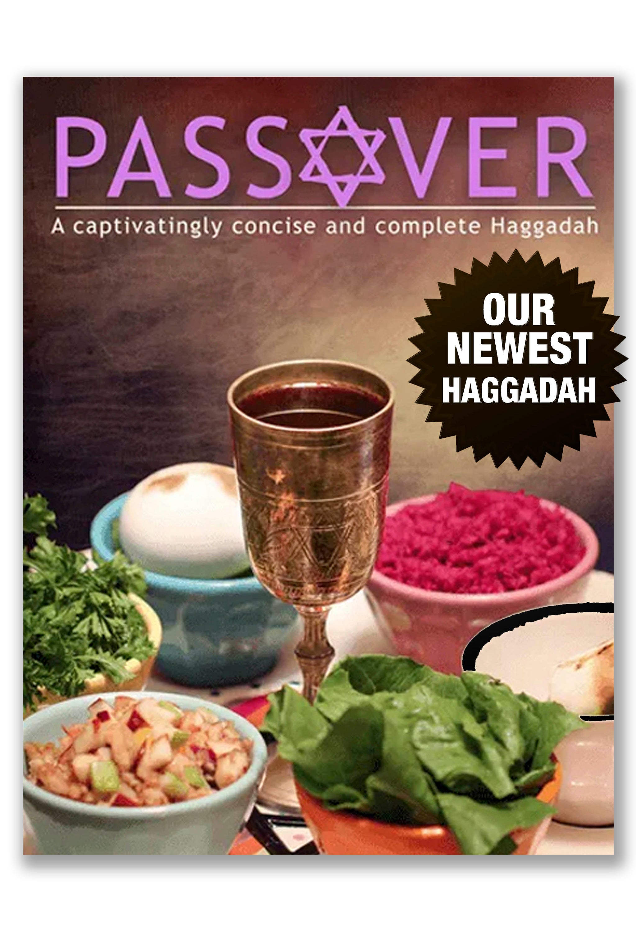 "PASSOVER" Haggadah: BOOK – 30 Minute Seder